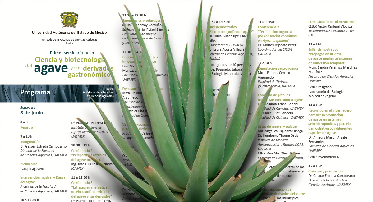 Todo lo que sabías y no sabías del agave en este seminario de la UAEMéx ...